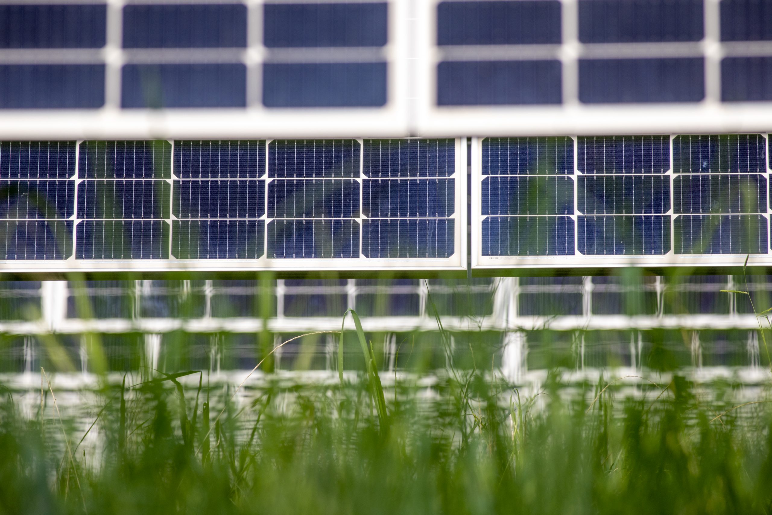 Lightsource bp 攜台灣開發商啟動 150MW 漁電共生開發案 | 台灣 | Lightsource bp