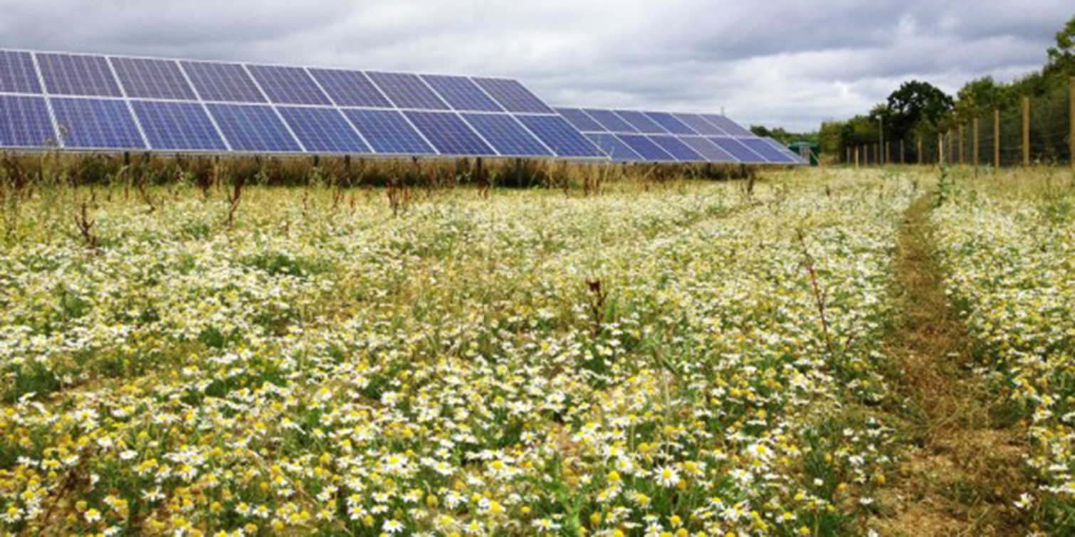 Solar Panel Electricity is ‘Cheaper Than Fossil Fuels’ | Lightsource bp