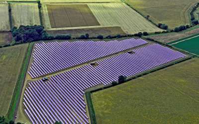 A Year in The Life of Marston Solar Farm | Lightsource bp